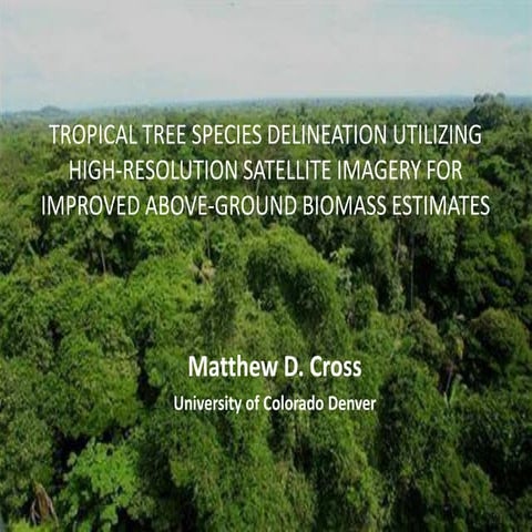 2018 Asprs Big Data Classification Of Tropical Forest Tree Species Using High Resolution