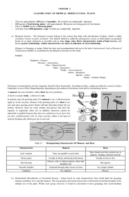 1. BOTANICAL CLASSIFICATION.ppt