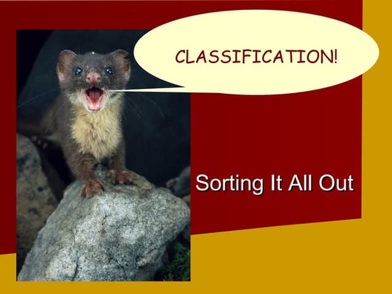 Levels Of Classification 2010 Ppt 3012