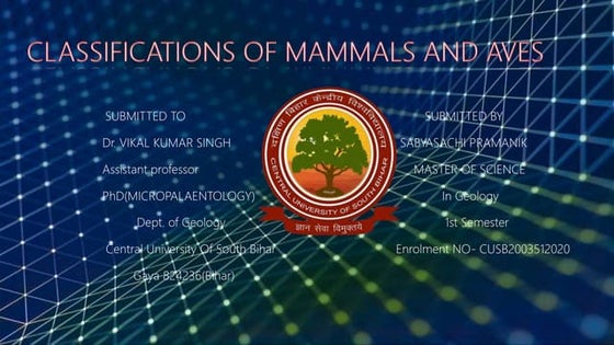 Classification of Mammals | PDF
