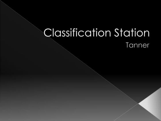 Classificaton Slide Show | PPT