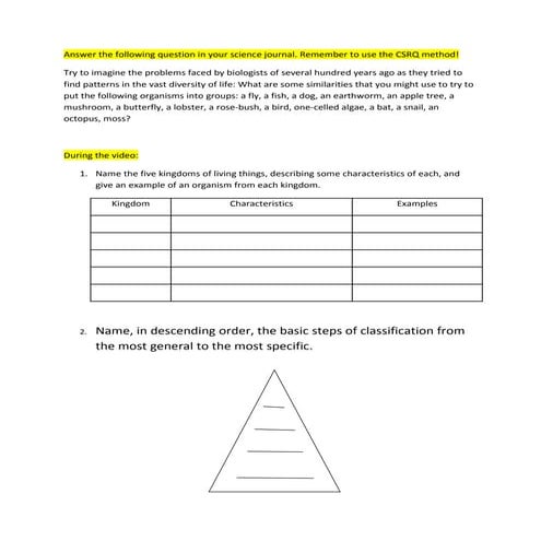 Classification Video Questions | DOC | Biological Sciences | Science