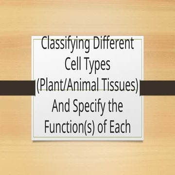 Classifying Different Cell Types (Plant.pptx