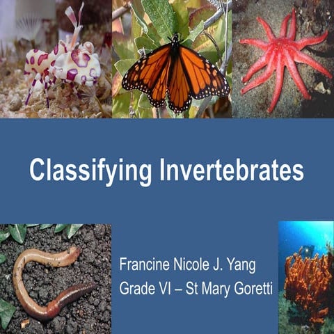 Grade 6 PPT_Science_Q2_W6_Invertebrates.pptx
