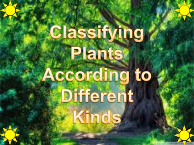 The Parts Of Plants | PPT