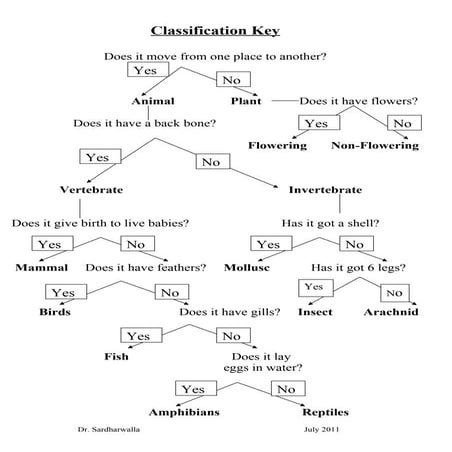 Classification Key | PDF