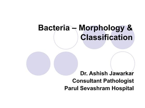 Classification of bacteria | PPT