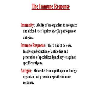 Immune response.pptx