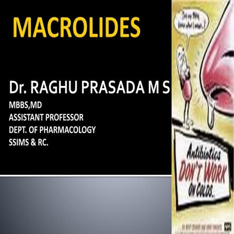 Class macrolides | PDF