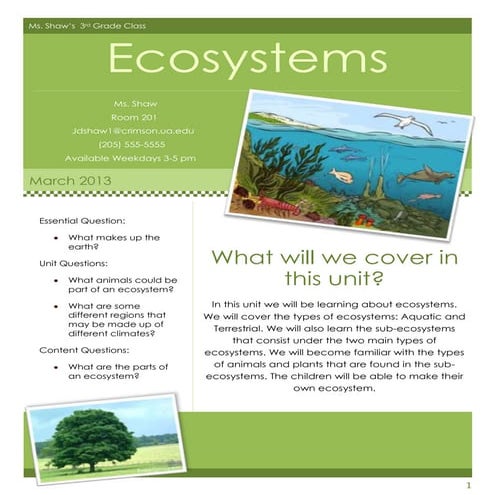 Jennifer Class Newsletter | PDF