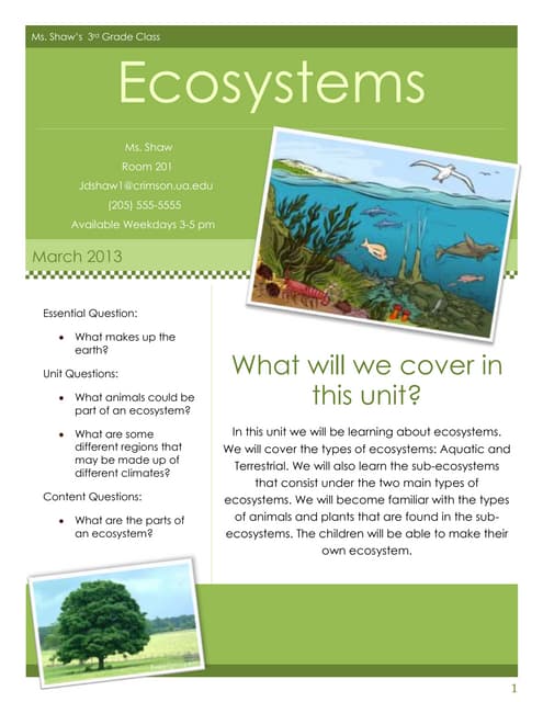 CL-Sample-Constructivist-Lesson-Plan | PDF | Biological Sciences | Science