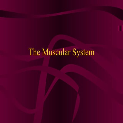 Muscle notes | PPT