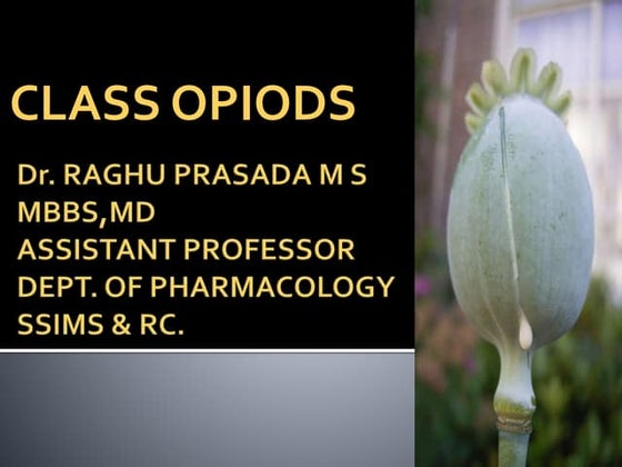 OPIOIDS, classification, drug class, mechanism iof action | PPT
