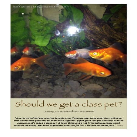Class pet doc | PDF