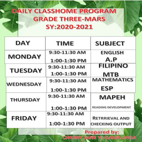 CLASS PROGRAM - Copy.docx