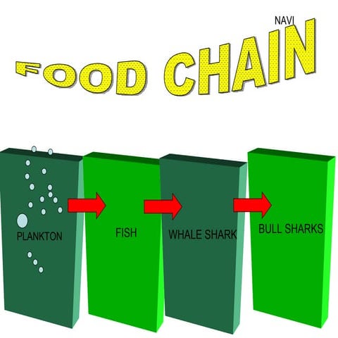 Mrs. Parker's Food Chain Class Project | PPT