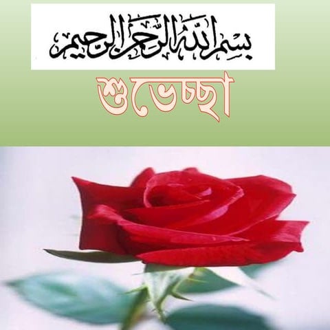 General resume 3 | DOCX