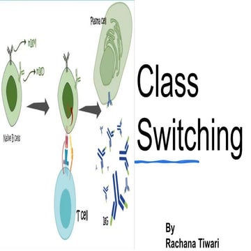 Class Switchingpptx 