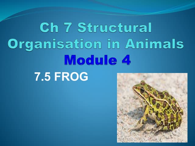 Structural Organization in Animals. Class 11 Biologypptx | PPTX