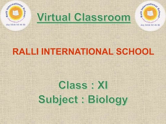 Biological Classification_Shobhit Nirwan.pdf