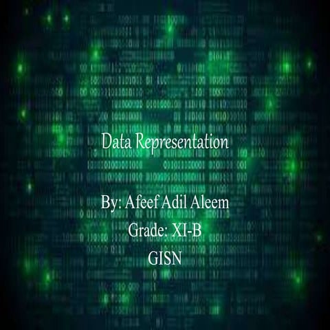 Class Xi Chapter 2 Data Representation By Afeefpptx