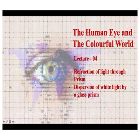 Class x the human eye and the colourful world 04 | PDF