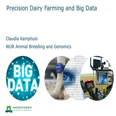 Big Data and Precision Dairy Farming | PPTX
