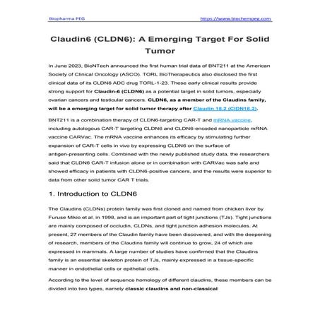 Claudin6 (CLDN6) A Emerging Target For Solid Tumor.pdf