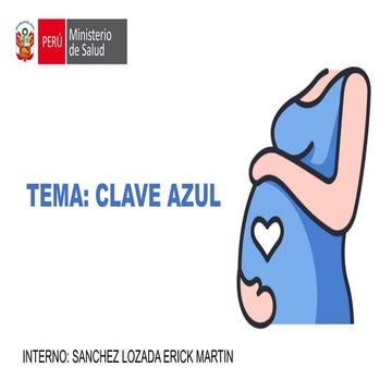 CLAVE AZUL - SANCHEZ LOZADA ERICK MARTIN.pdf