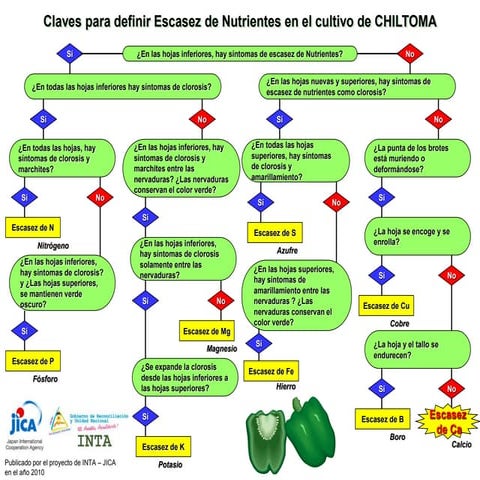 Claves para definir Escasez de Nutrientes en el cultivo de CHILTOMA.pdf