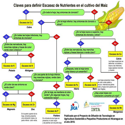 Claves para definir Escasez de Nutrientes en el cultivo de CHILTOMA.pdf