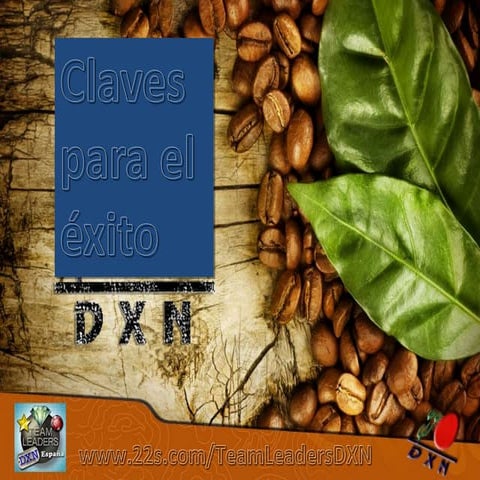 Doce pilares | PDF