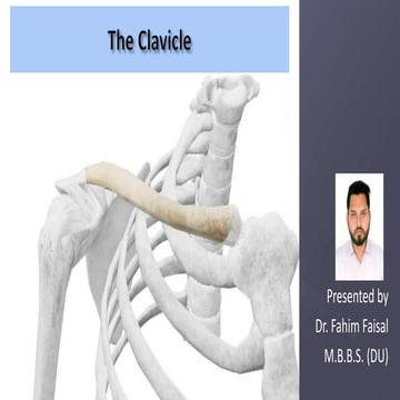 Clavicle | PPTX