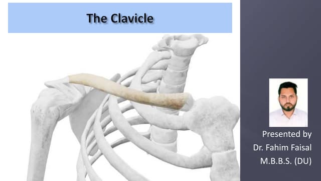 Anatomy of clavicle | PPTX