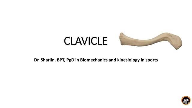 Clavicle bone Anatomy | PPTX