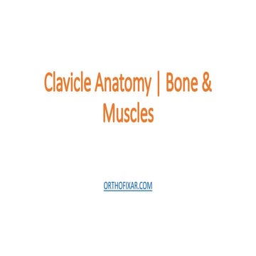 clavicle Anatomy.pptx
