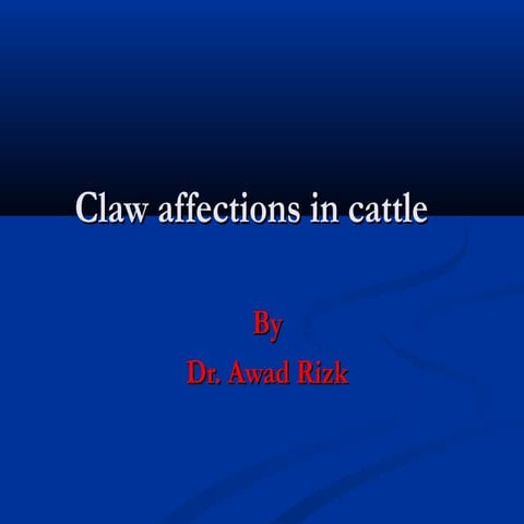 Claw affection presented by dr. awad rizk | PPT | Foot Health ...