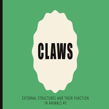 Claws | PPT