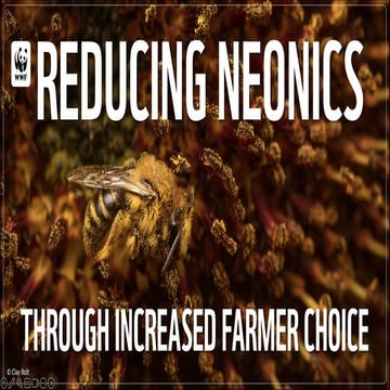 Reducing Neonics Through Increased Farmer Choice | PPTX