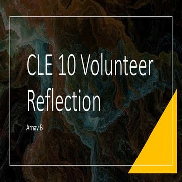 CLE 10 Volunteer Reflection.pptx