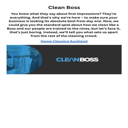 Clean Boss.pdf