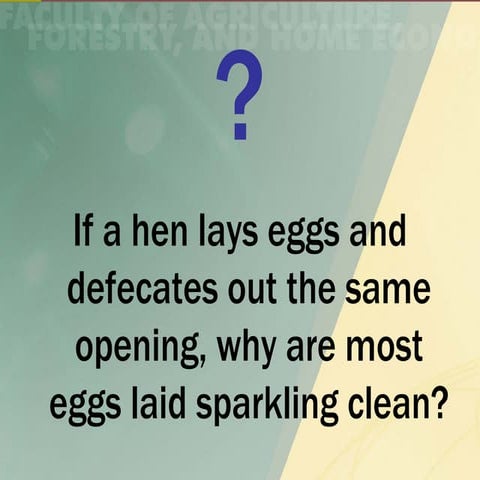 Reproductive system of hen | PPT