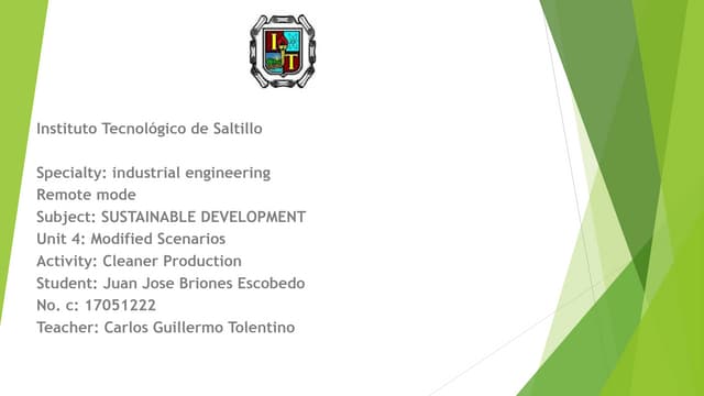 Cleaner production techniques | PDF