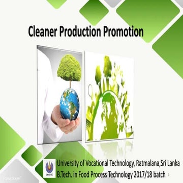 Cleaner production promotion | PPTX | Non-Profit Organizations | Industries