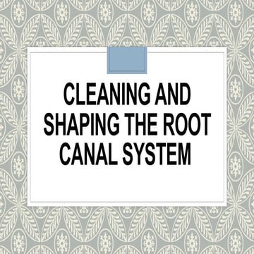 Cleaning and Shaping the Root Canal System.pdf