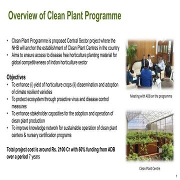Clean Plant Programme.pptx