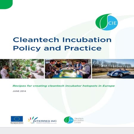 Cleantech_incubation_Policy_and_Practice.pdf