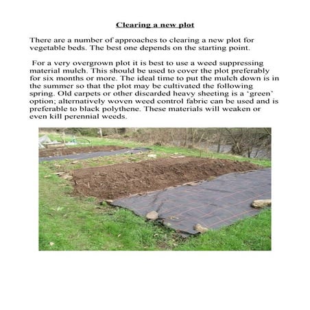 Vegie Garden Companion: Gardening in Desert | PDF