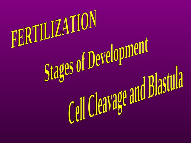 Cleavage, Types of cleavage | PPTX