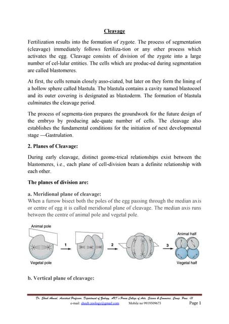 Cleavage, Types of cleavage | PPTX